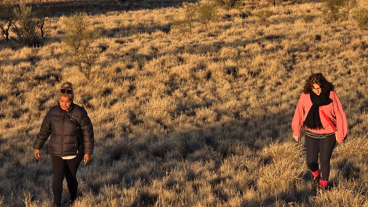 Home - Knowmore Impact Report